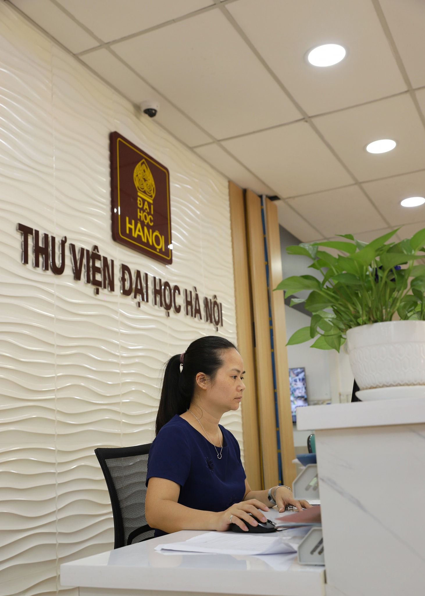 Lịch sử phát triển – FIS-HANU